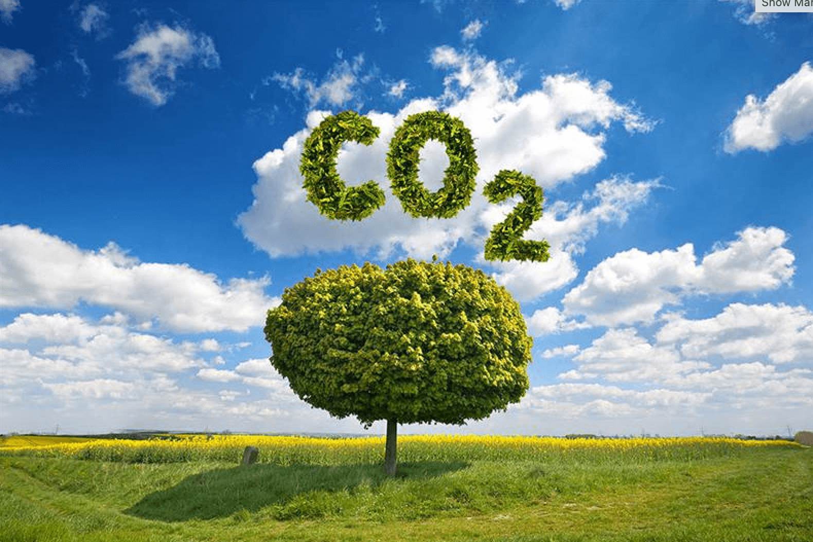 Il-GWU tingħaqad bħala sieħeb ewlieni fil-proġett imsejjaħ GREENET ...